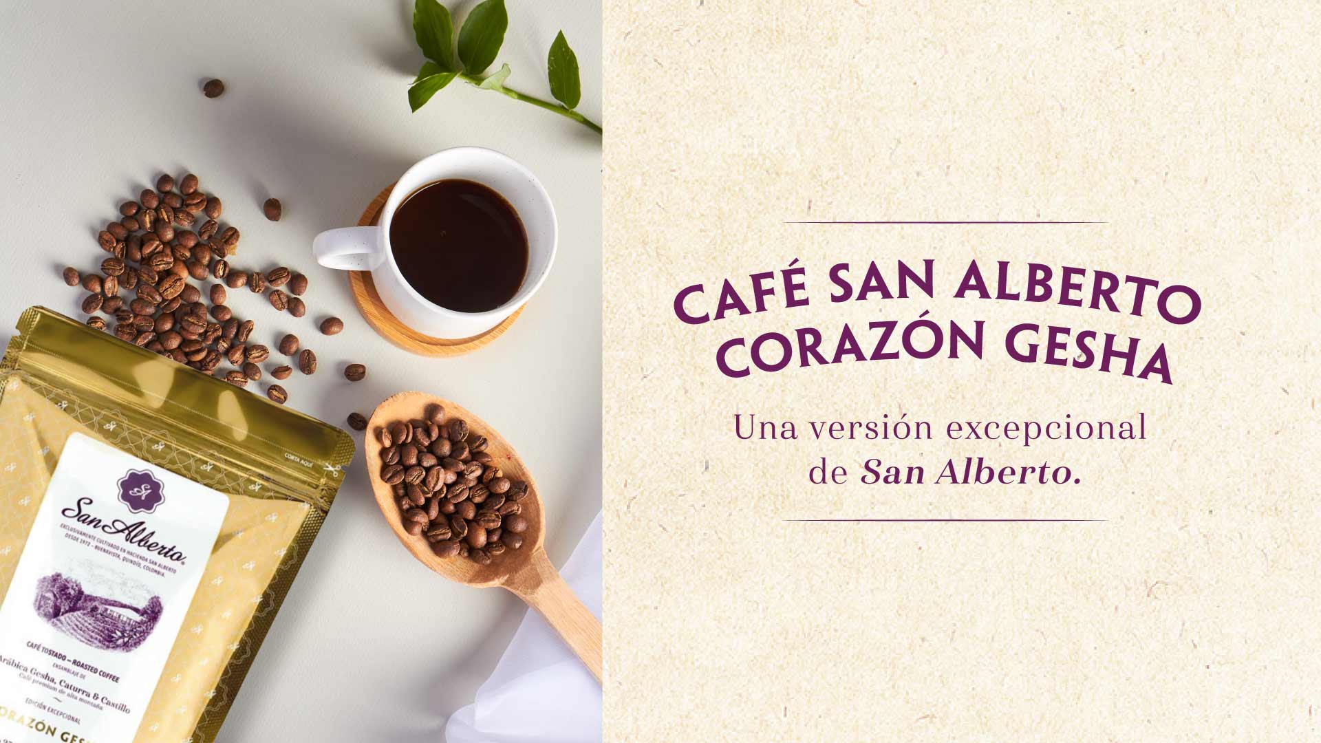 Café San Alberto - Café San Alberto